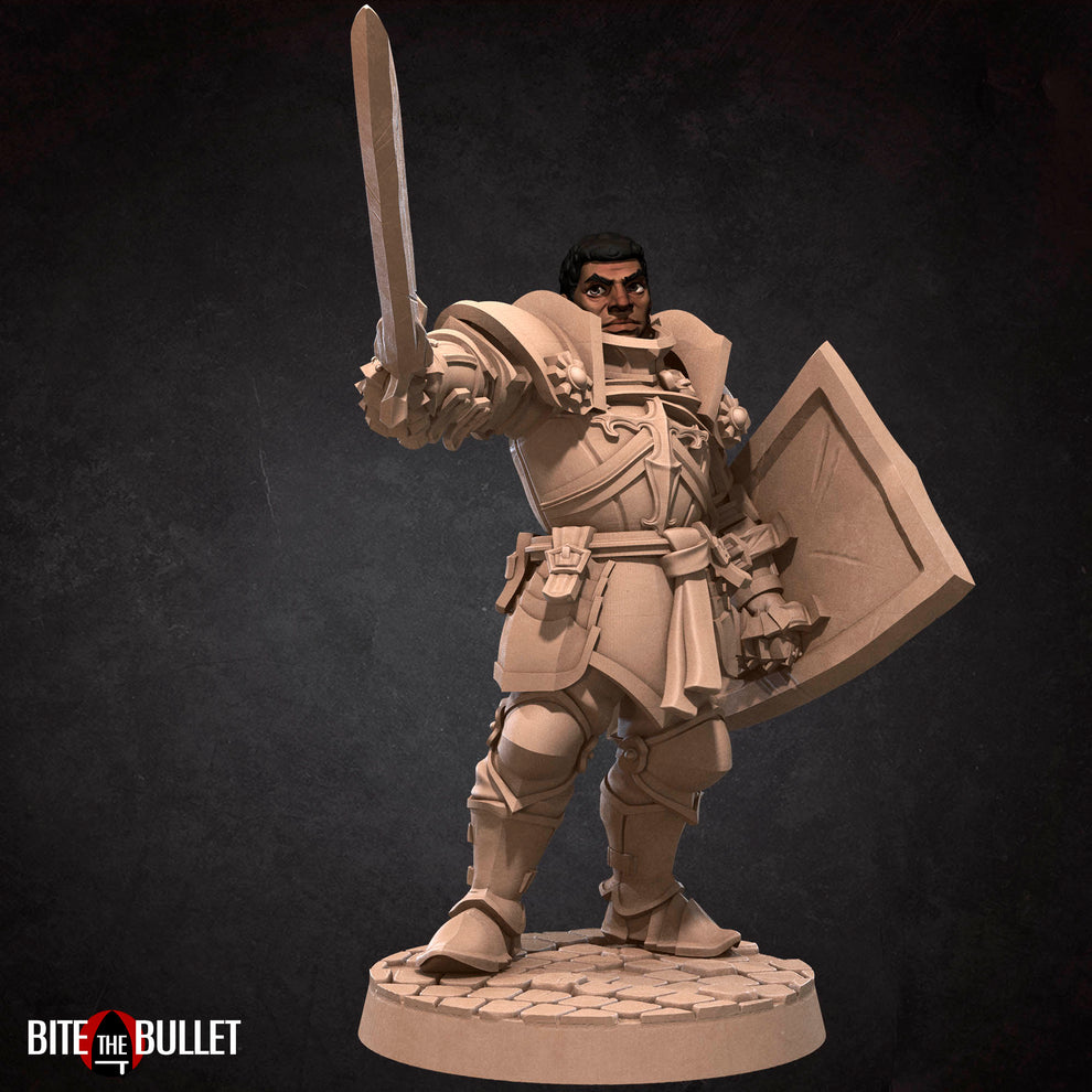 Hero Paladin – Parabellum Miniatures