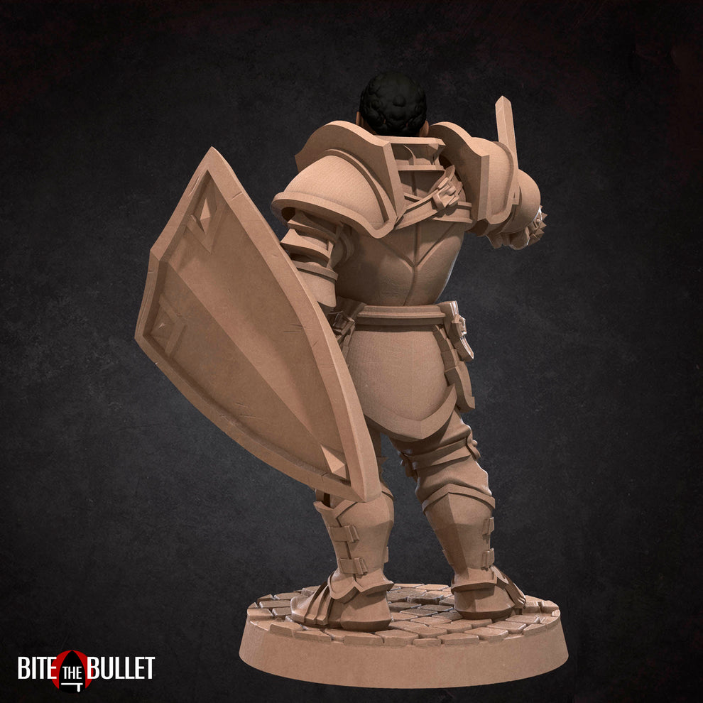 Hero Paladin – Parabellum Miniatures