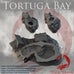Tortuga Bay Main Island 2 by Dark Realms in 32mm, 28mm, 15mm Scale 3D ...